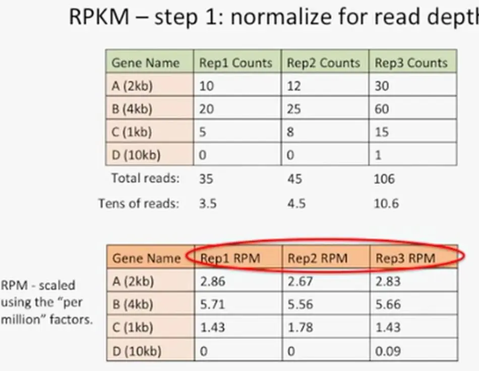 RPKM、FPKM 和 TPM cpm-CSDN博客