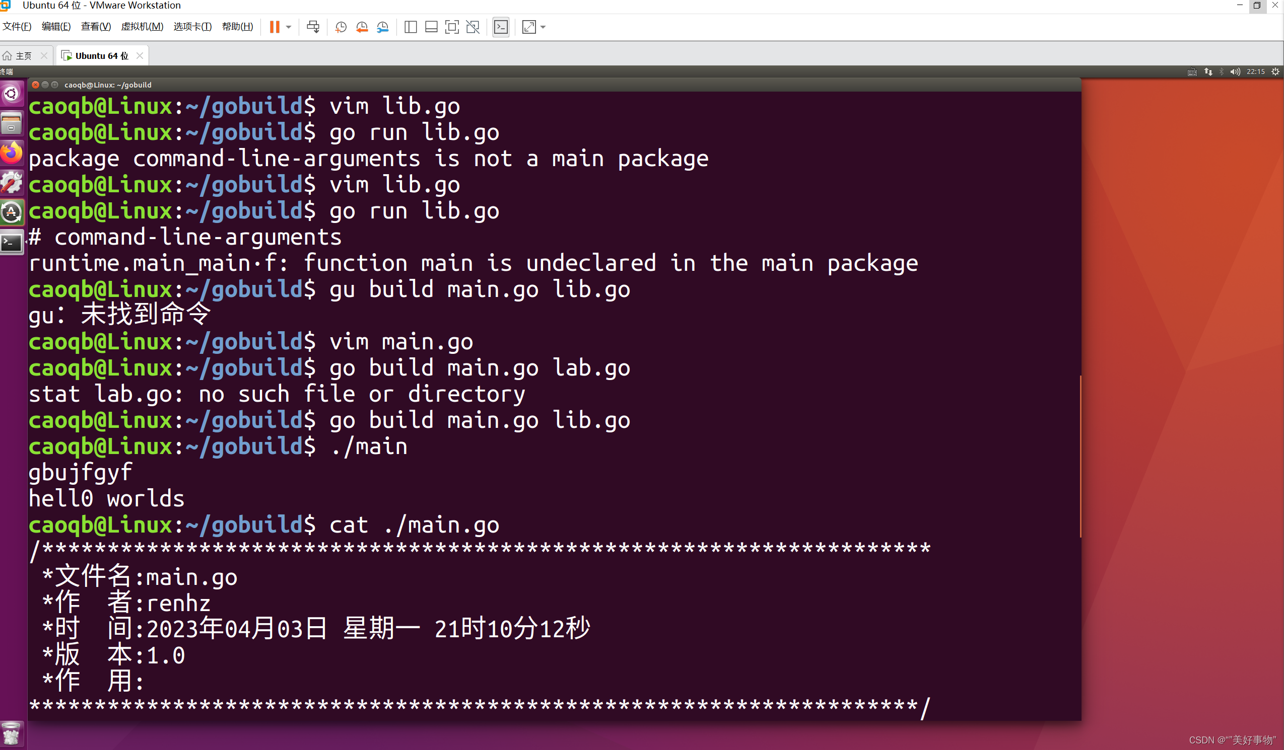 go 语言作业_go语言大作业-CSDN博客