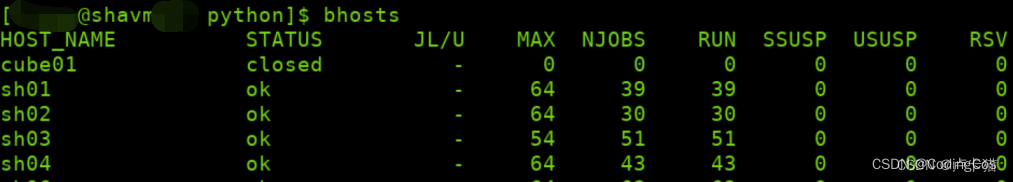 【芯片设计 - 常用工具 1 -- bsub 命令介绍】-CSDN博客