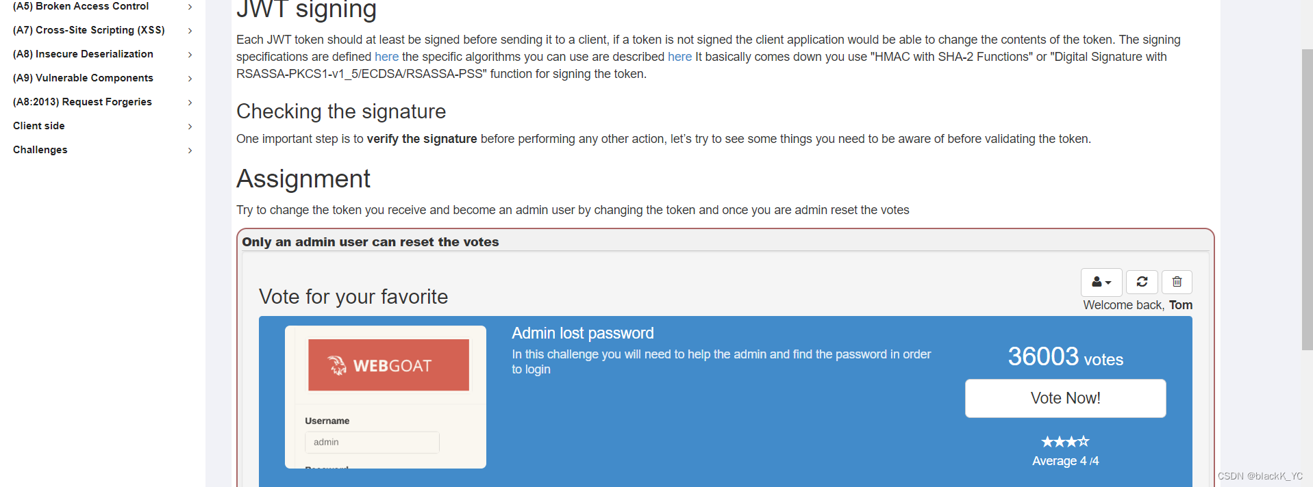 WebGoat搭建和Yakit学习_java -jar webgoat-server-8.1.0.jar --server.port=8-CSDN博客
