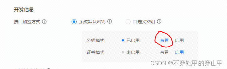Springbootvue简单对接支付宝完整流程springboot Vue接入支付宝网站支付 Csdn博客