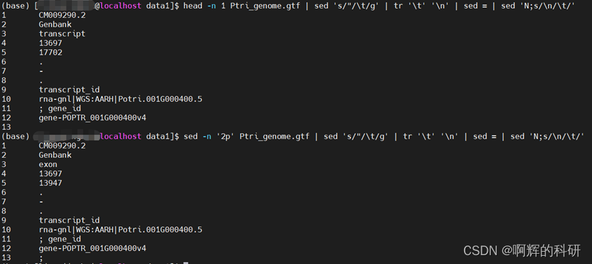 有参转录组实战7-基因序列提取_gffread提取cds-CSDN博客