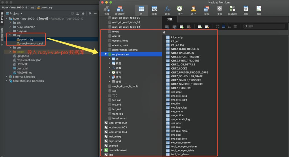 ruoyi-vue-pro部署文档-CSDN博客
