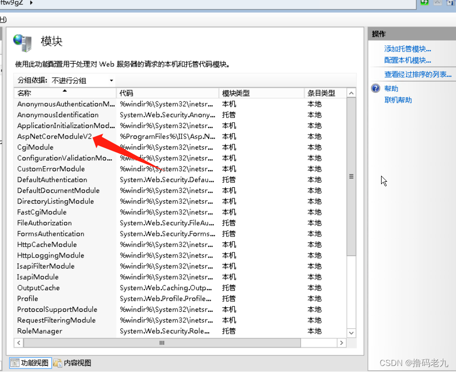 ASP.Core3.1 WebAPI 发布到IIS_netcoreapp3.1-CSDN博客
