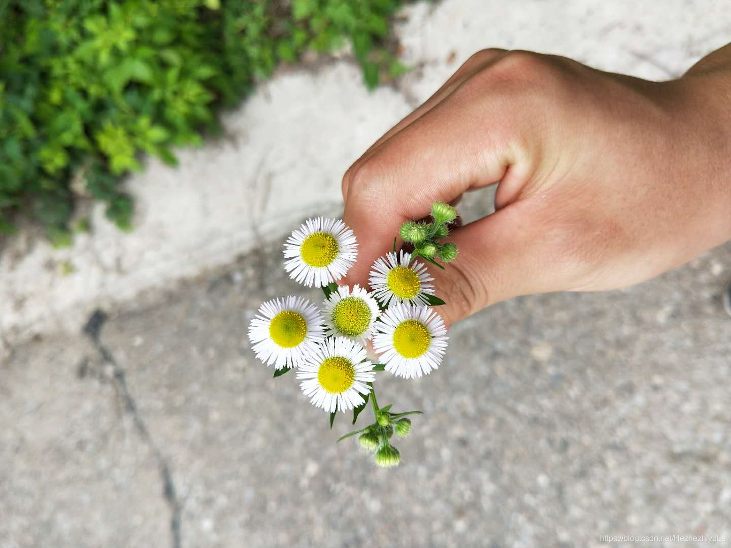 Oracle Sql 两个日期类型毫秒值求差，日期转毫秒，时间差（ms）自定义函数解决毫秒差oracle Timestamp转毫秒 Csdn博客