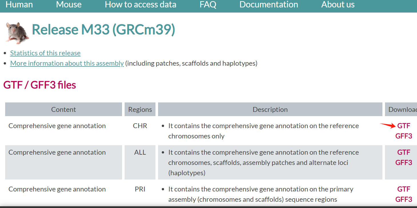 【定量工具-featureCounts安装及使用】零基础看懂运行代码，报错大赏Q&A-CSDN博客