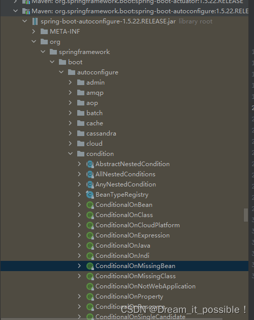 详解Spring Boot框架中的@Conditional系列注解_springboot conditional注解-CSDN博客