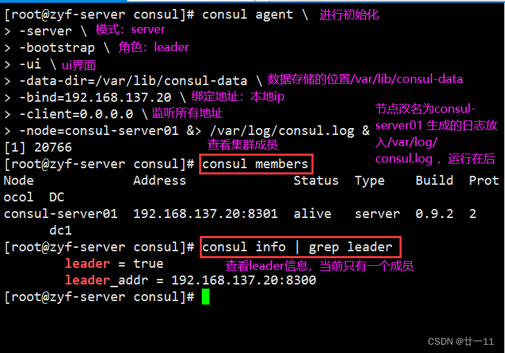 Docker：（十）consul注册中心、注册机_docker安装consul单机版-CSDN博客