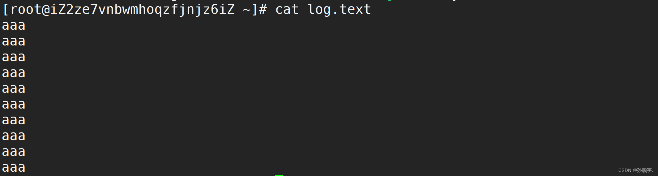 Linux 文件 fd-CSDN博客