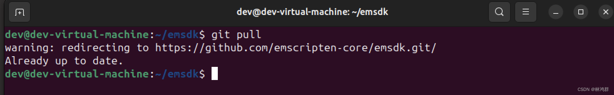 Linux下配置WebAssembly开发环境Emscripten SDK_linux emsdk-CSDN博客