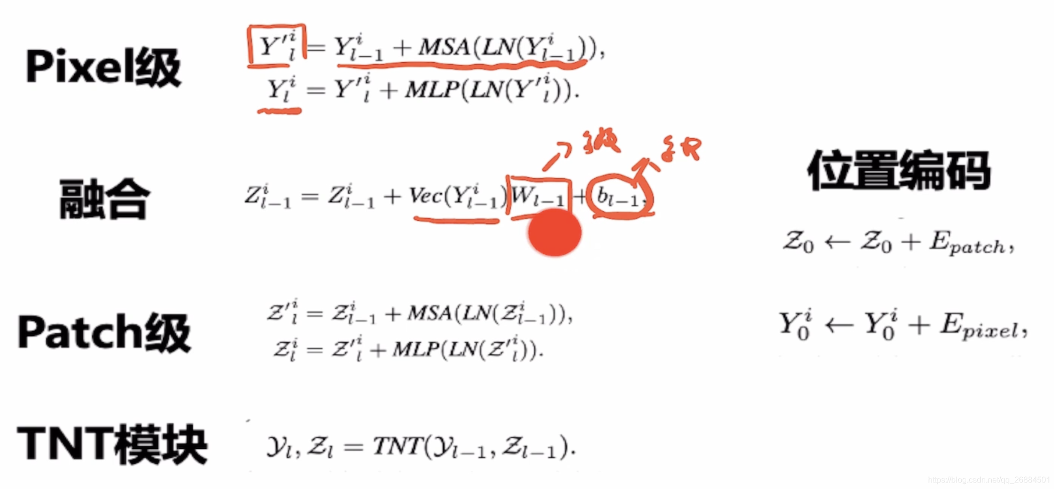 TNT : transformer in transformer_patch级别和特征级别-CSDN博客