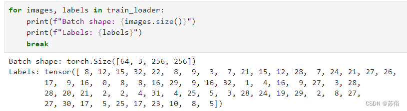 图像分类——基于pytorch的农作物病虫害检测_corn虫害数据-CSDN博客