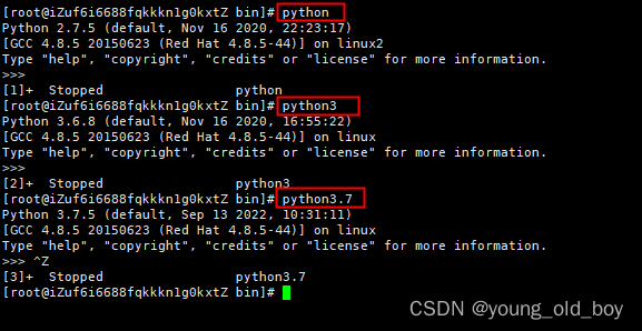部署多Python环境项目_python 部署2个项目在同一台服务器-CSDN博客