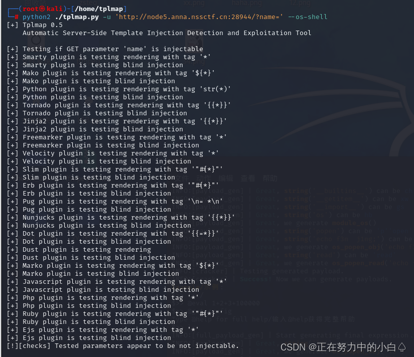 PHP安全挑战中的RCE、SSTI与代码审计：实战解析-CSDN博客