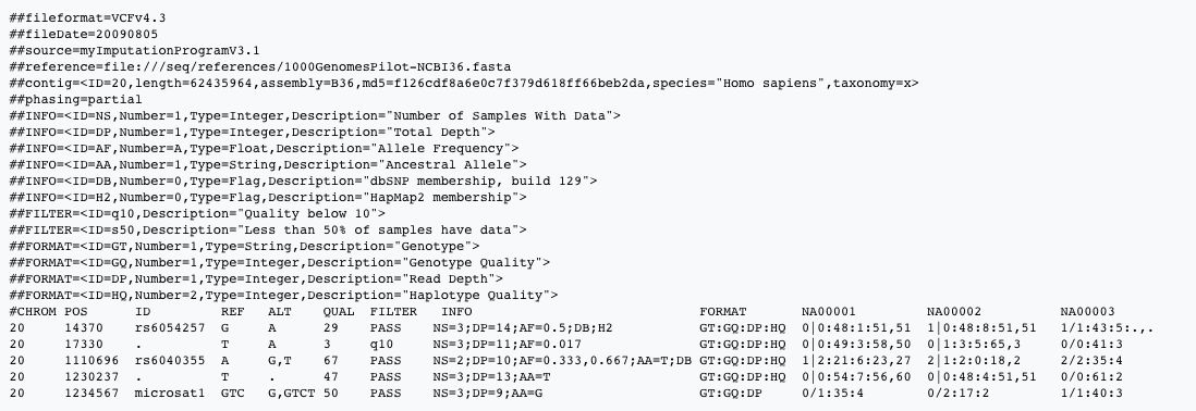 FASTQ! BAM! VCF_fastq转vcf-CSDN博客