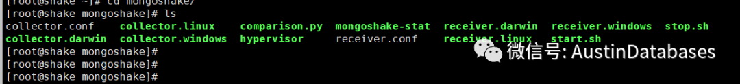 Mongodb mongoshake 数据同步方案与搭建一个简单的测试环境，与不同版本数据同步问题...-CSDN博客