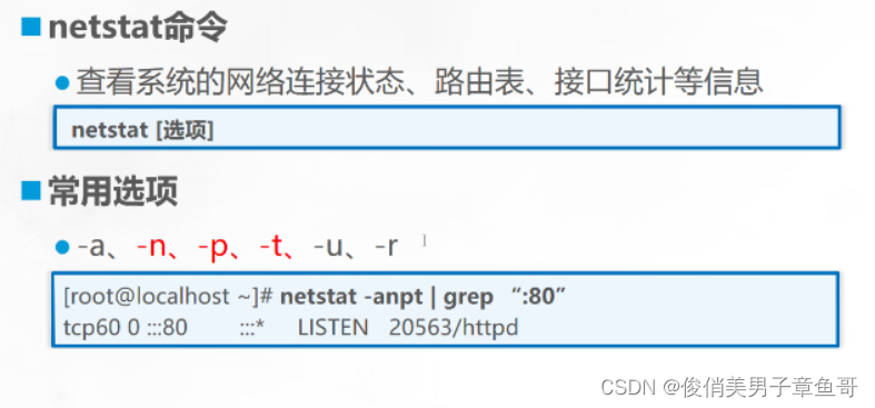 Linux网络配置与诊断工具：ifconfig,route,netstat,ss&ping-CSDN博客