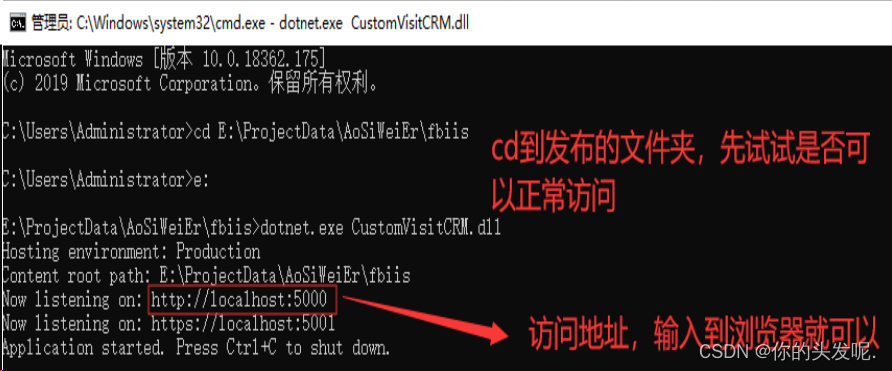.net core 发布到iis_。net core iis 发布-CSDN博客