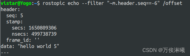 [ROS 系列学习教程] ROS Topic 相关API接口与命令行介绍_rostopic echo-CSDN博客
