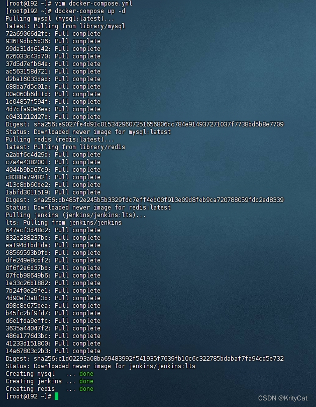 Centos7下docker安装mysql、redis、jenkins【使用docker-compose图文教程】_centos7 docker mysql-CSDN博客