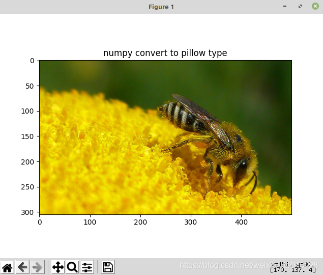 opencv、matplotlib、pillow和pytorch读取数据的通道顺序_cv2 channel读取顺序-CSDN博客