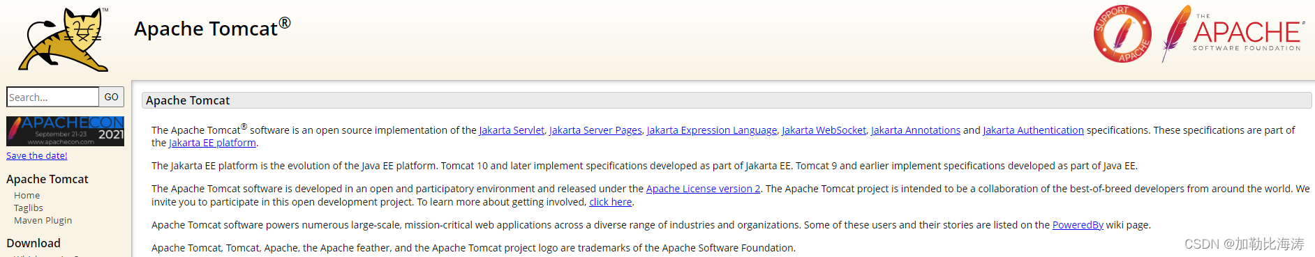 Java Web 实战 21 - 用 Servlet 实现一个Hello World_servlet实战-CSDN博客