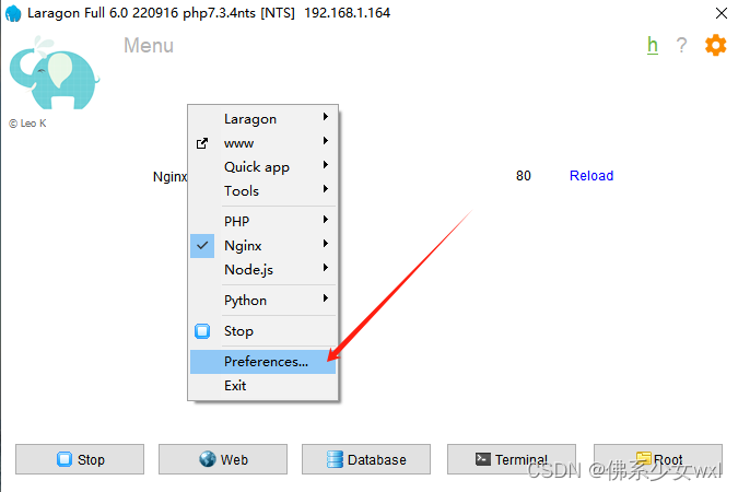 教程：Laragon下载安装到访问项目网站-CSDN博客