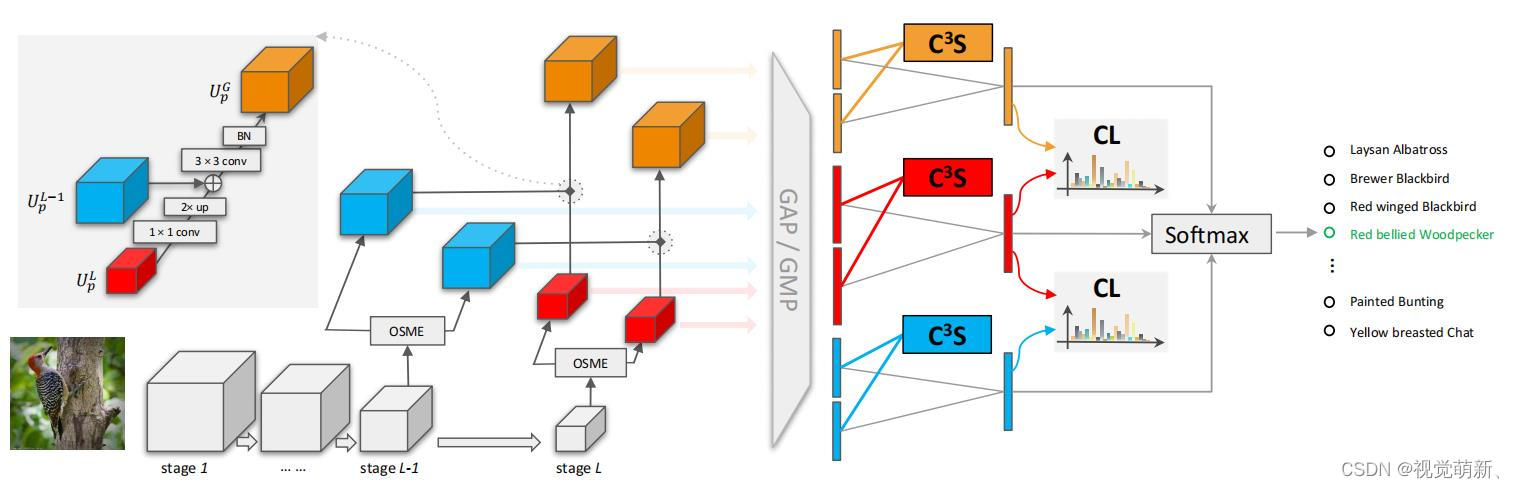细粒度分类算法笔记汇总_pmg细粒度-CSDN博客