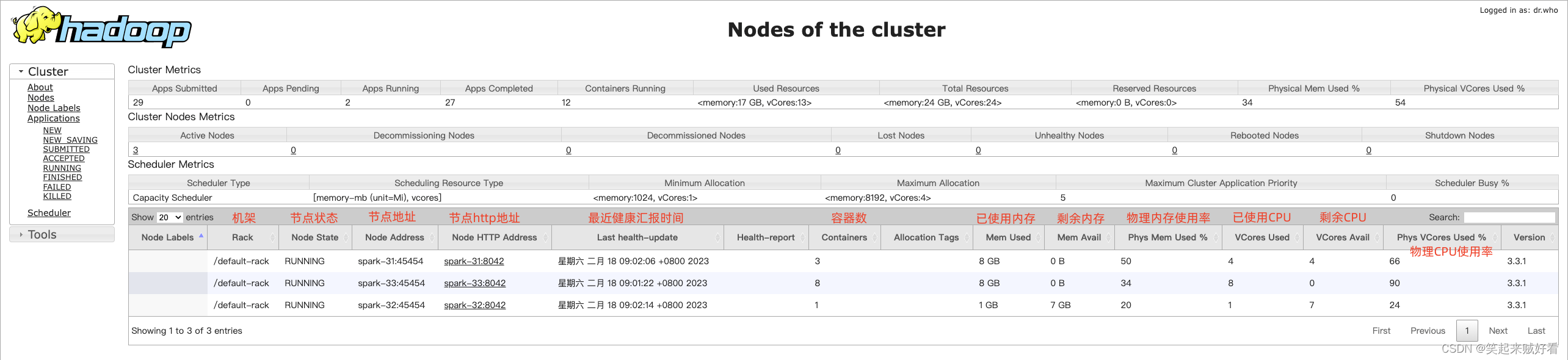 【大数据】HADOOP-Yarn集群界面UI指标项详解（建议收藏哦）_yarn effective capacity-CSDN博客