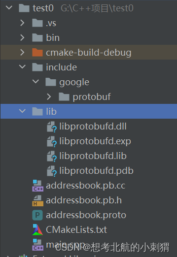 Windows+clion+protobuf+cmake实现protobuf的使用（被折磨了两天半）_clion proto-CSDN博客