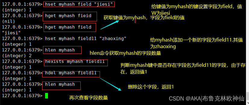 Redis不同数据类型下的基础查询命令redis 查询zadd存入的数据 Csdn博客