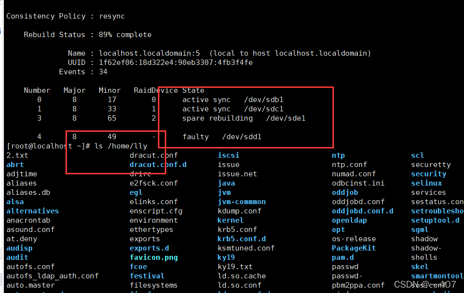 Linux服务器硬件RAID配置实战_linux虚拟机做raid5-CSDN博客