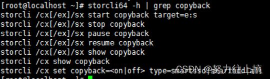 使用storcli/storcli64工具配置RAID-CSDN博客