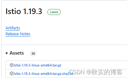 在AMDX86虚拟机上部署Istio：优化镜像安装与K8S适配,-CSDN博客