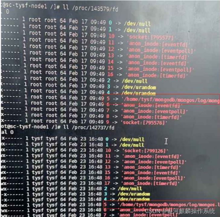 【技术干货】Linux命令“du-sh和df”执行结果存在差异，问题分析及处理过程_du -sh-CSDN博客