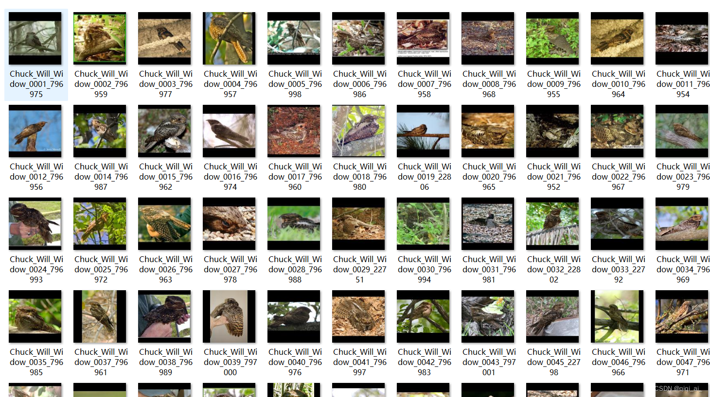 基于vision Transformer的鸟类图像分类（200个类别）完整代码数据鸟类分类代码 Csdn博客