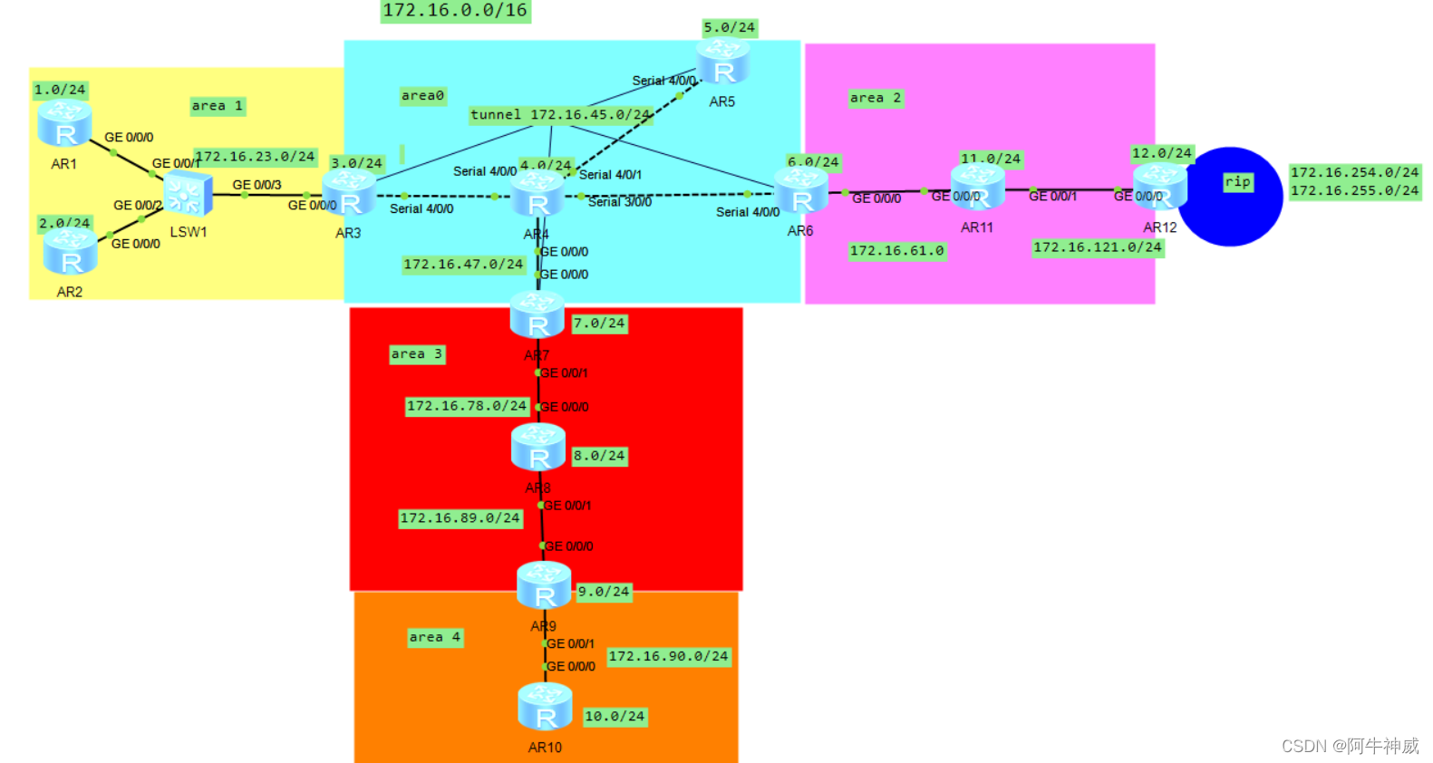 HCIP---OSPF综合实验配置_acl arp dhcp ospf vlan ppp 综合实验配置-CSDN博客
