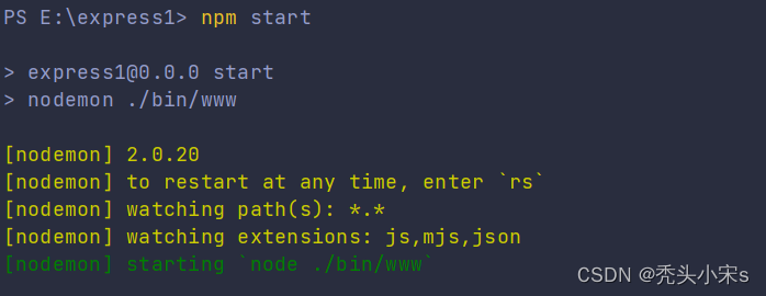 WebStorm创建第一个Express项目_webstorm怎么创建项目-CSDN博客