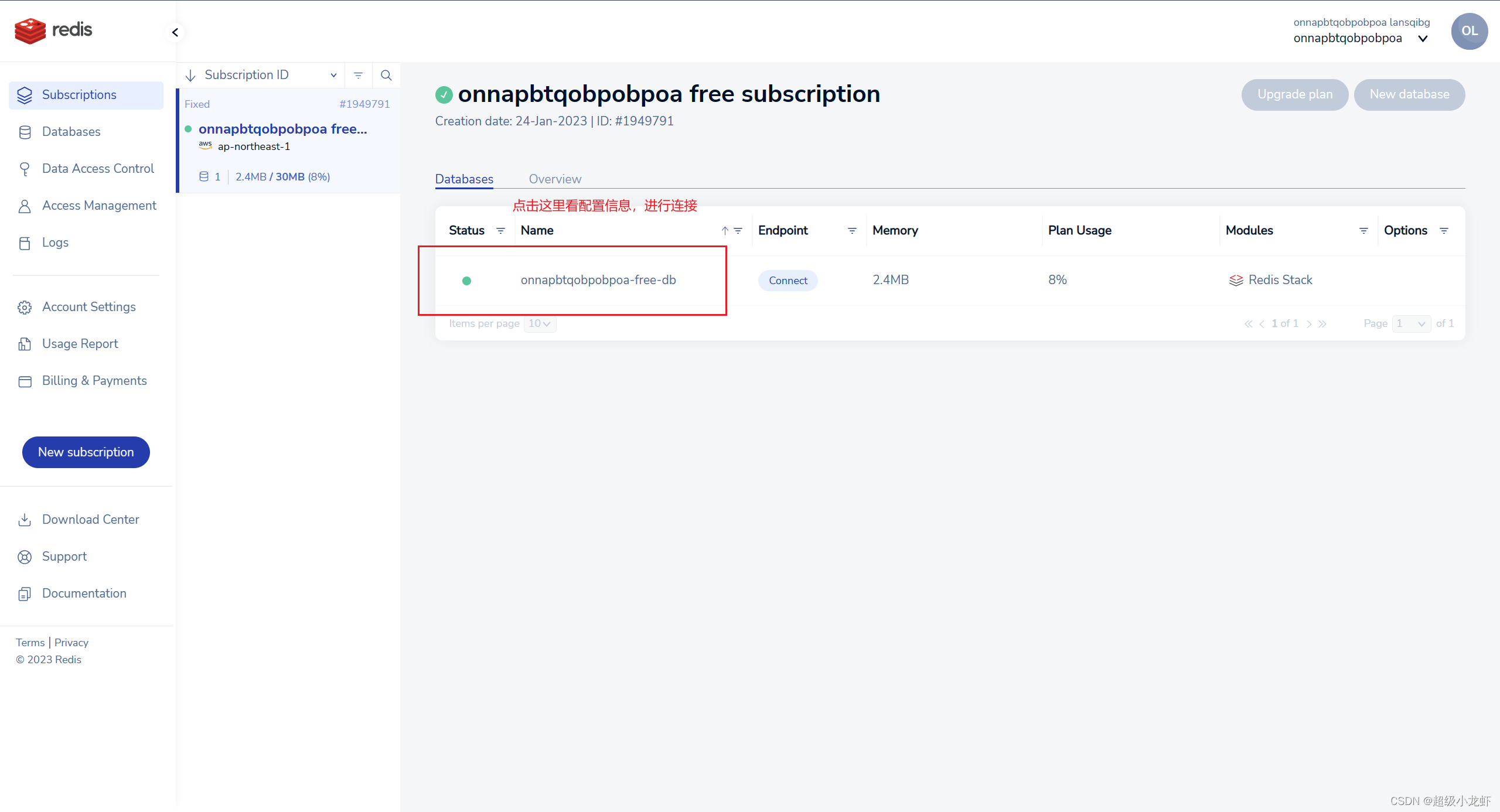redislabs免费外网30M-redis内存_提供免费的30m大小的redis云数据库-CSDN博客