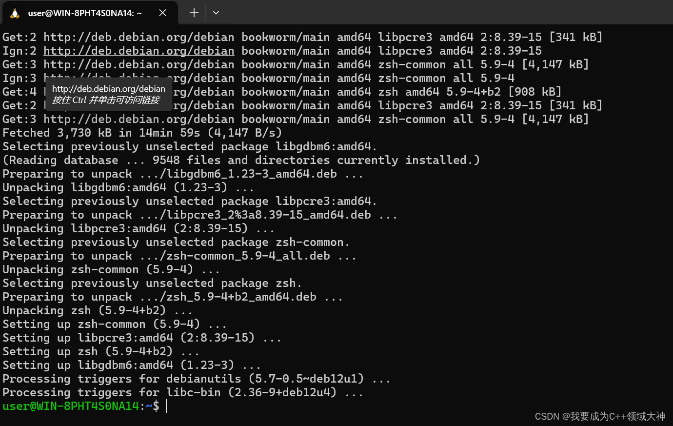 【Linux】Windows下打造炫酷Linux终端 zsh+oh my zsh+powerlevel10k_wsl怎么配置powerlevel10k-CSDN博客