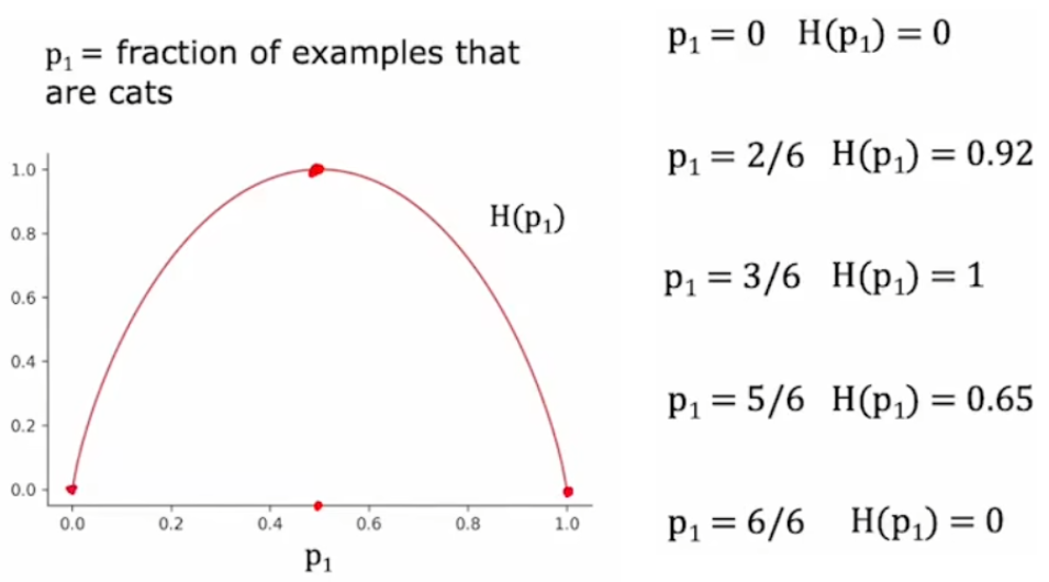 Course2-Week4-决策树_take a decision tree learning-CSDN博客