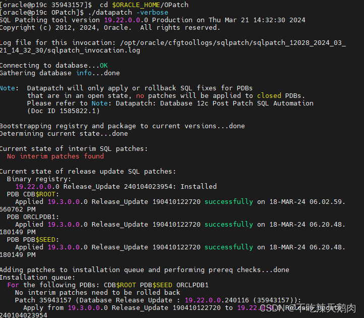 Oracle19c单实例补丁升级和回退19c Patch补丁 Csdn博客