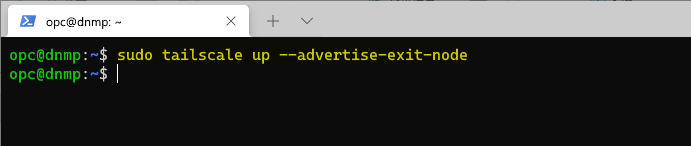Tailscale 实现「出口节点」exit Node(导向所有流量经这出口节点tailscale Exitnode Csdn博客