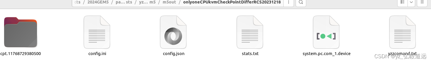 Gem5 Checkkpoint使用: Checkpoint恢复并运行parsec Benchmark,运行和checkpoint时不同的新scriptgem5 Checkpoint Csdn博客 9802