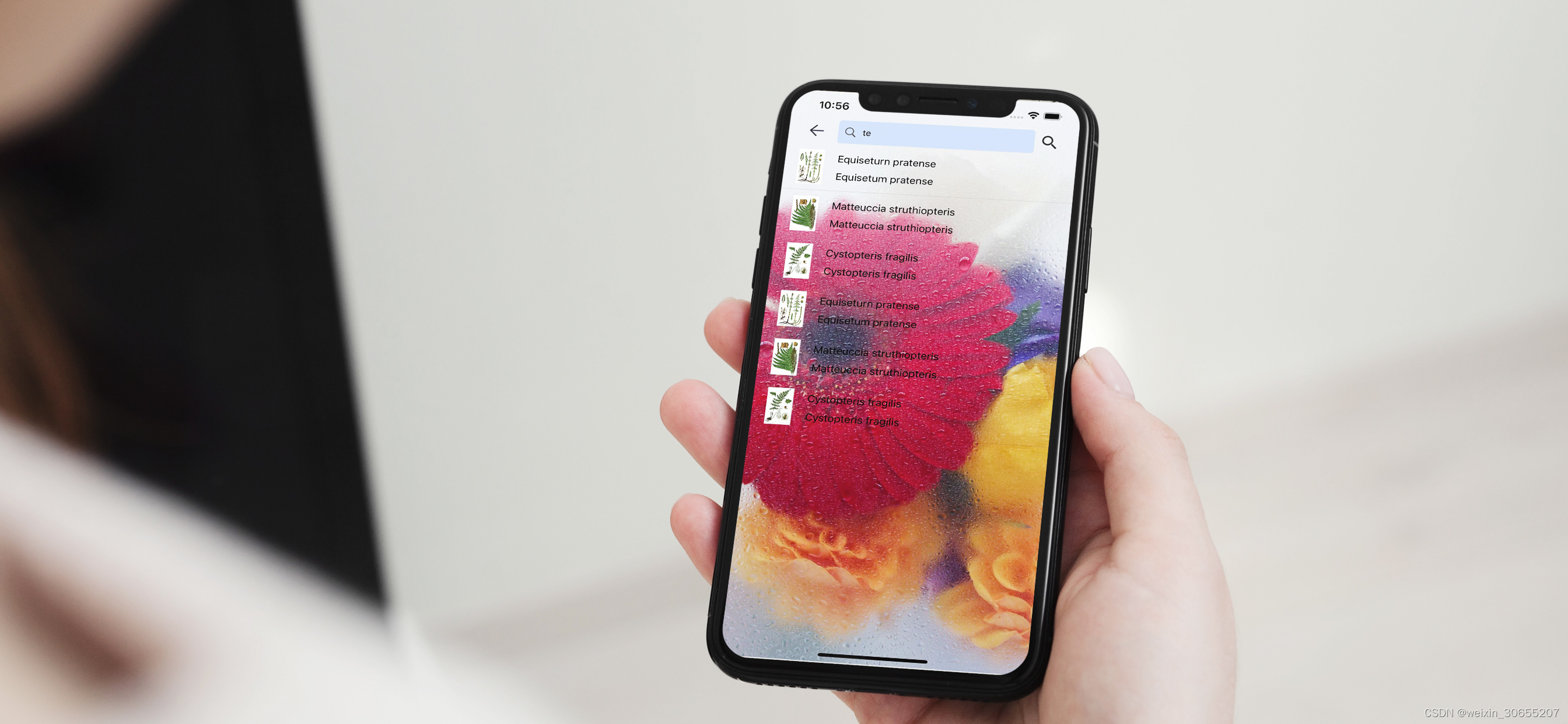 Polyxxo App Tech Support-CSDN博客
