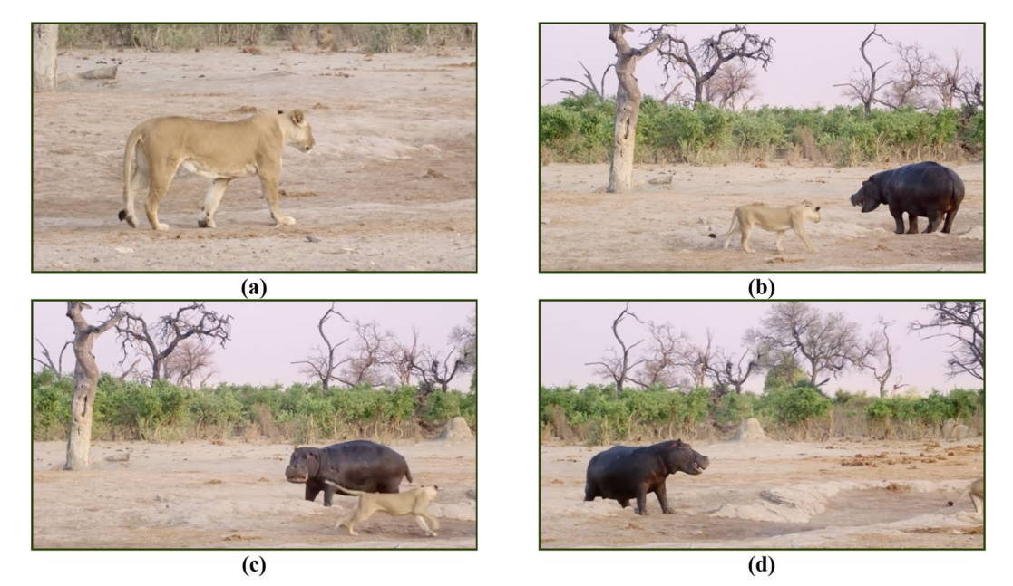【智能优化算法】河马优化算法(Hippopotamus optimization algorithm，HO)_河马算法里dimension指的是什么-CSDN博客