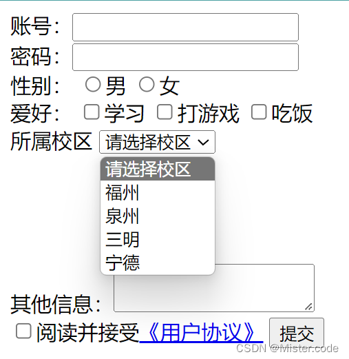收集表单数据vue Csdn博客 